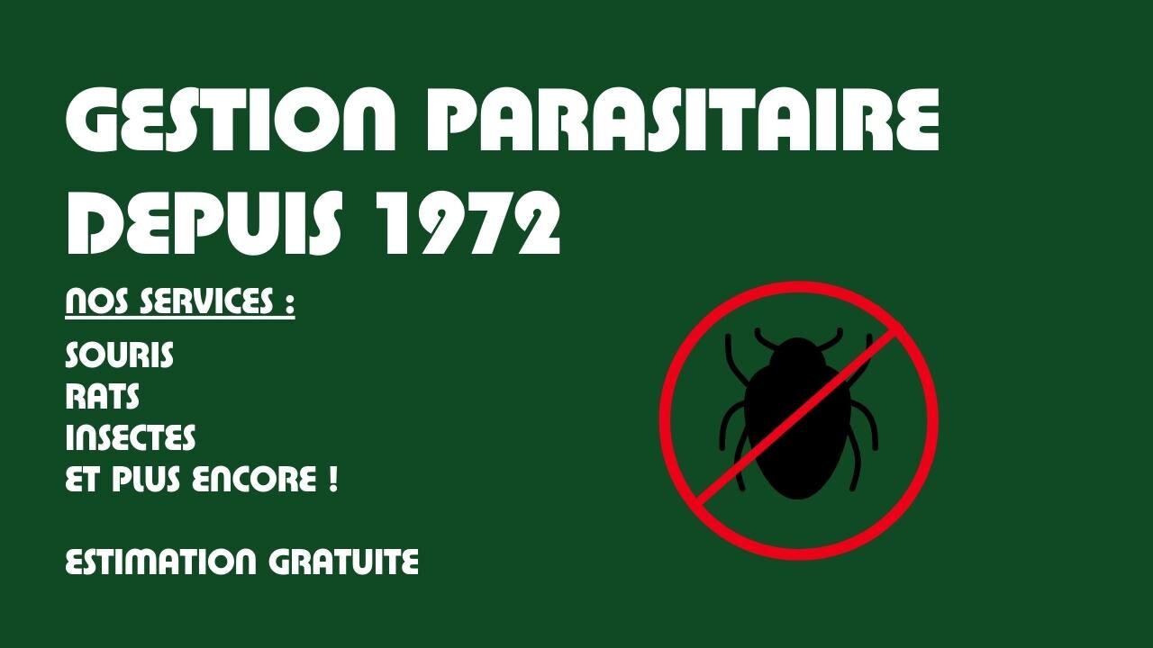 Extermination services in Montreal, Laval and the South Shore